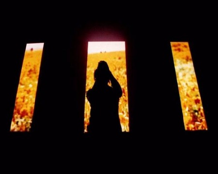 Nine Inch Nails - Fragility v2.0 | nin.wiki