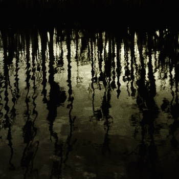 Nine Inch Nails - 10 Ghosts II | nin.wiki